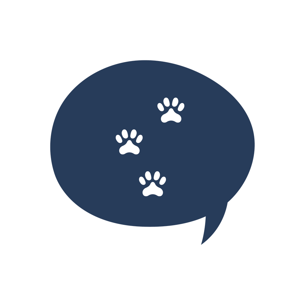 Pet Cremation Packages – Remember Me Pet Cremations